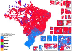 Brazil's Ethnic Landscape: Mapping a Nation's Diversity - Vivid Maps