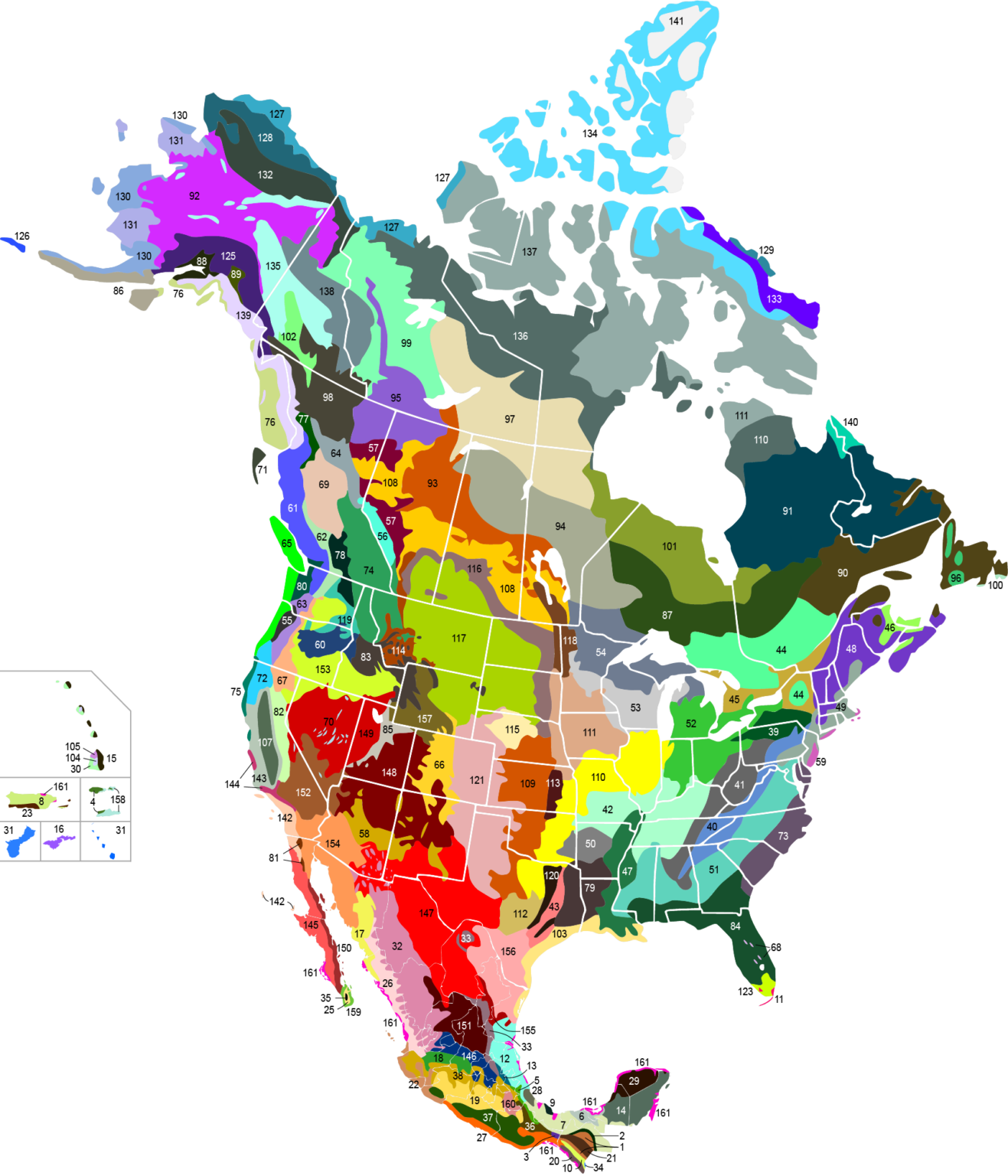 Terrestrial Ecoregions of North America - Vivid Maps