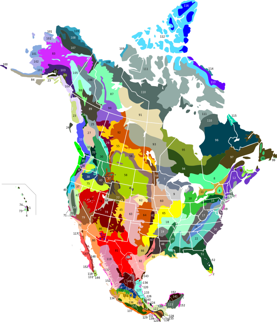 Regions of the United States - Vivid Maps