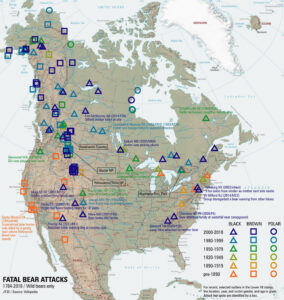 Bears in Europe Mapped - Vivid Maps