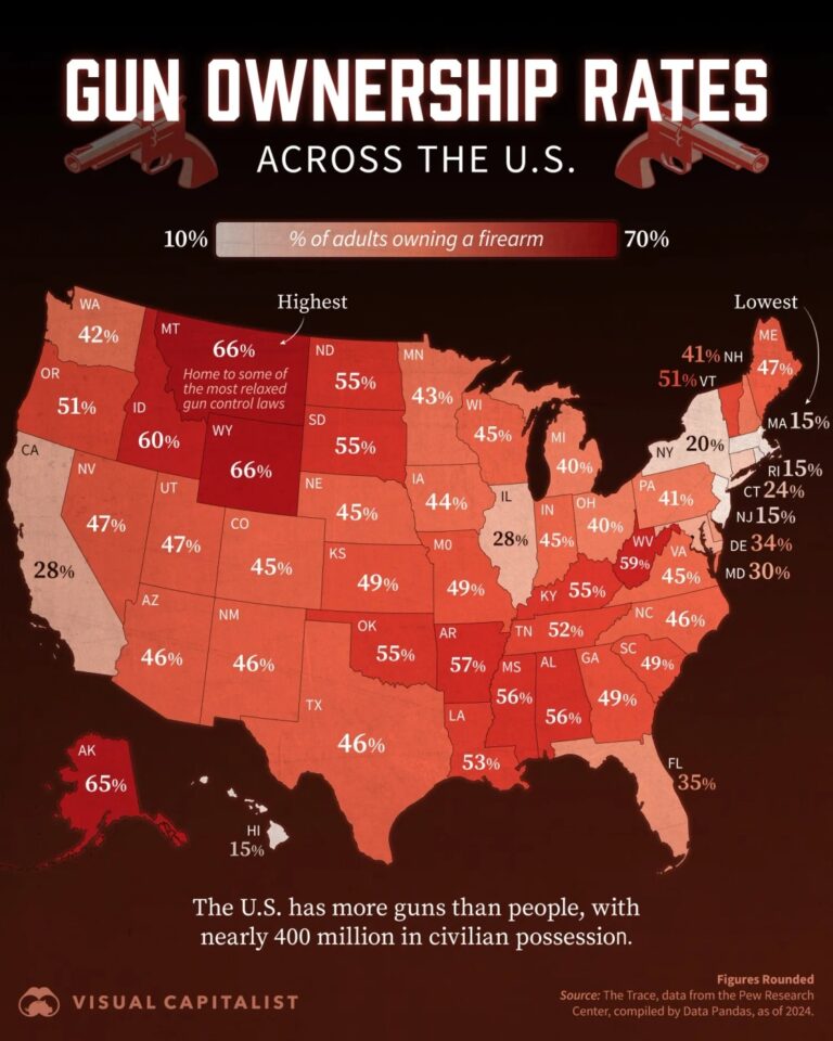 How gun control works in the United States - Vivid Maps