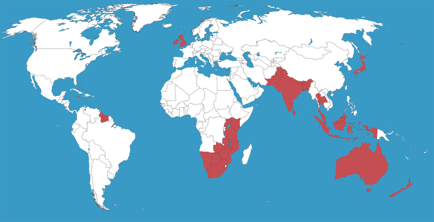 Left or Right? The Fascinating World of Driving Directions - Vivid Maps