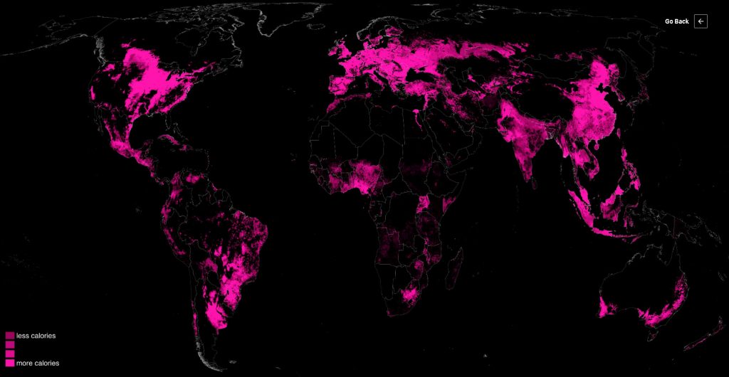 The Colors of Global Food Security - Vivid Maps