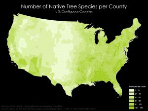 Non-Native Plant Species in North American Forests - Vivid Maps