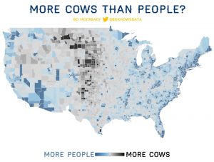 America’s Cow Inventory: A Deep Dive into Bovine Demographics - Vivid Maps