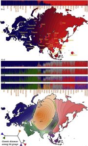 World map of Y-DNA Haplogroups with possible migration routes - Vivid Maps