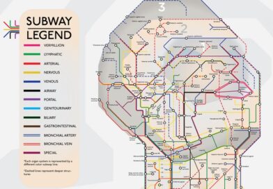 Subway Maps - Vivid Maps