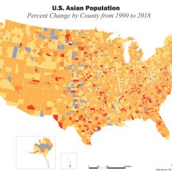 Mapping the Most Common Races - Vivid Maps