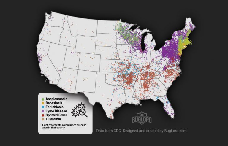 Geographic distribution of ticks and disease cases in the U.S. - Vivid Maps