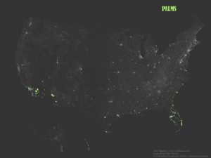 Where palm trees are found in the United States - Vivid Maps