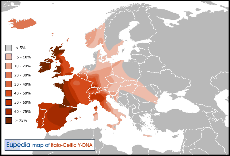 Dominant Y-DNA haplogroups in Europe and the Middle East - Vivid Maps
