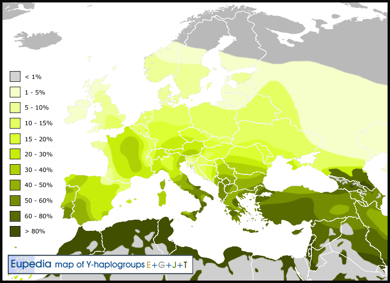 Dominant Y-DNA haplogroups in Europe and the Middle East - Vivid Maps