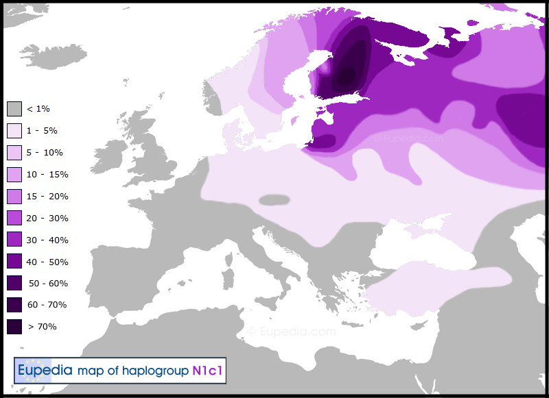 Dominant Y-DNA haplogroups in Europe and the Middle East - Vivid Maps