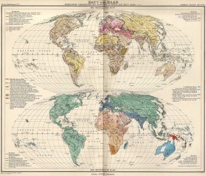 Races of the World - Vivid Maps