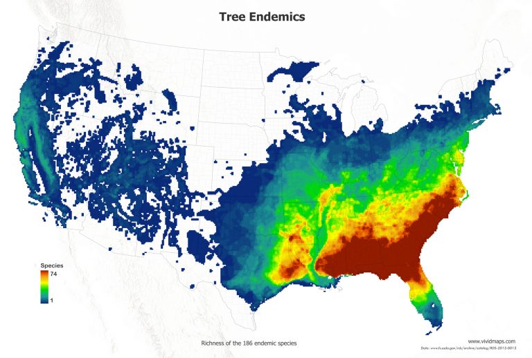 The diversity of trees in the United States mapped