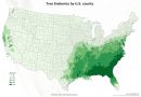 The diversity of trees in the United States mapped