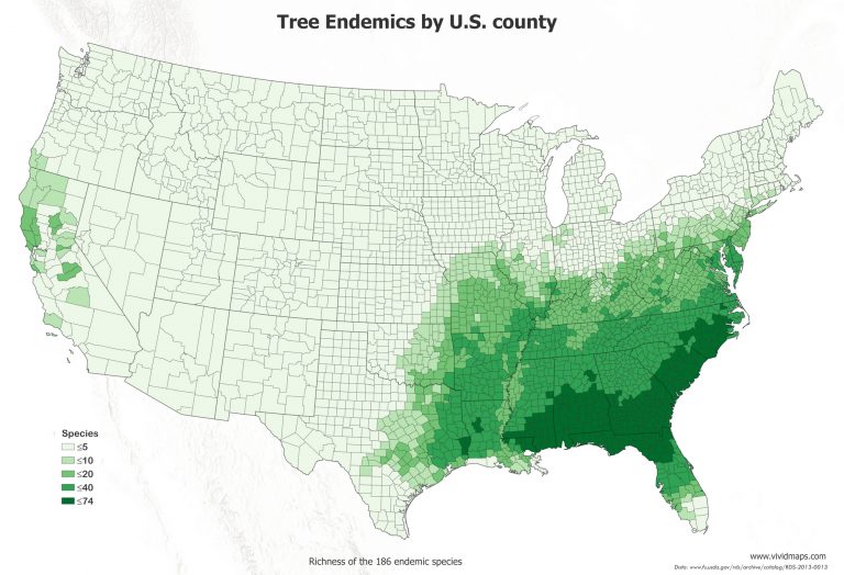 The Diversity Of Trees In The United States Mapped the-diversity-of-trees-in-the-united-states-mapped