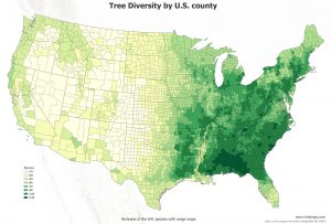 The diversity of trees in the United States mapped