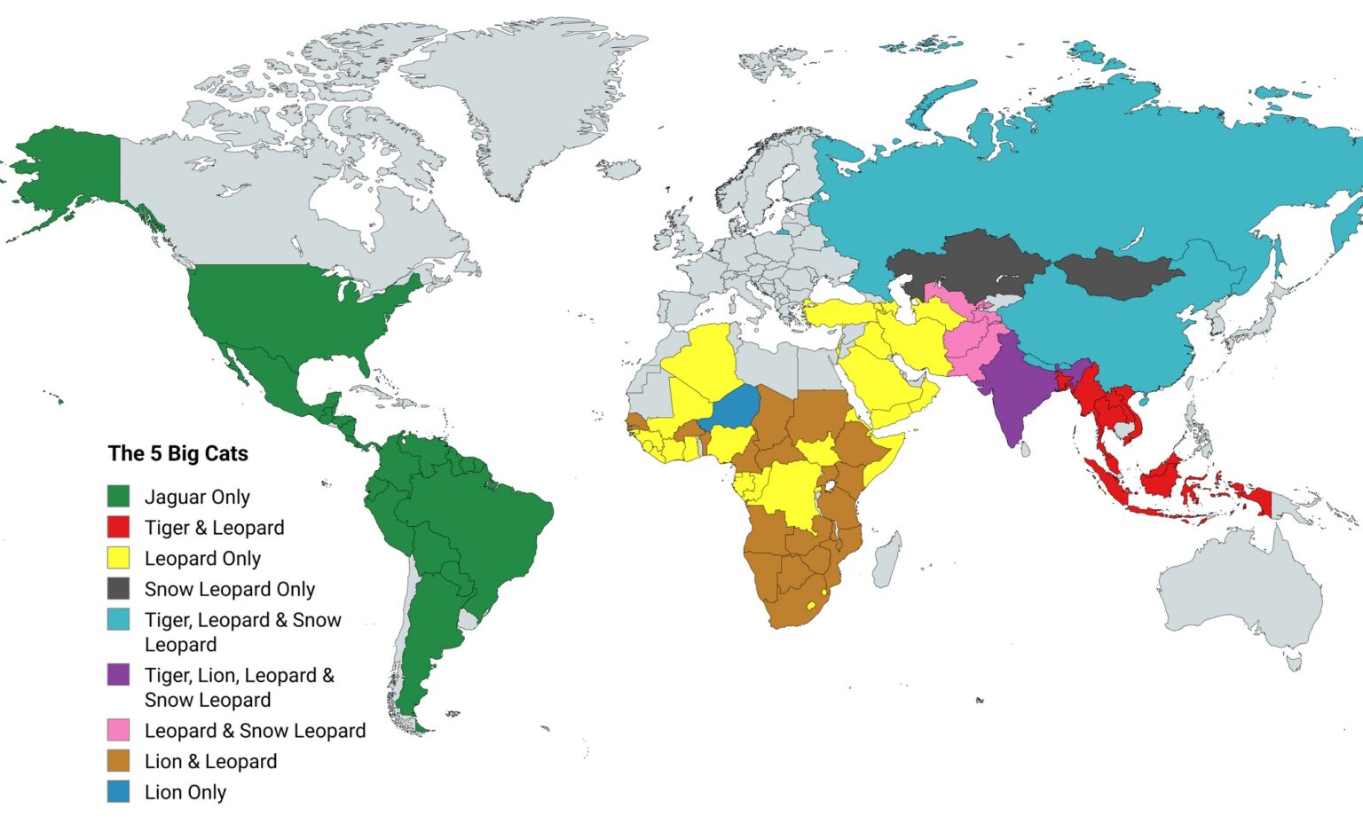 Distribution of the Big Cats mapped - Vivid Maps