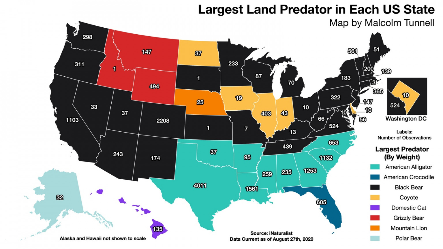 Largest Predator in Each U.S. State - Vivid Maps