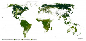 The World's Forests Mapped - Vivid Maps