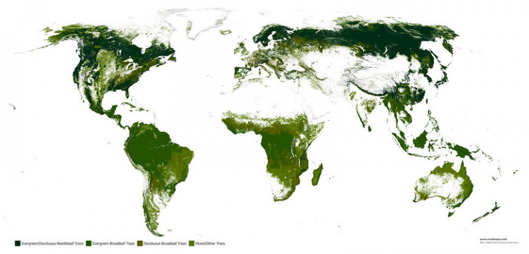 The World's Forests Mapped - Vivid Maps