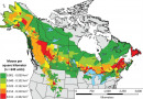 Moose population in North America mapped - Vivid Maps