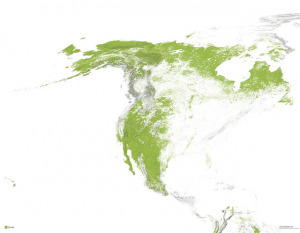 The World's Forests Mapped - Vivid Maps