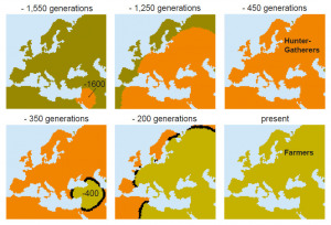 Dominant Y-DNA haplogroups in Europe and the Middle East - Vivid Maps