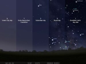 Light Pollution in the United States - Vivid Maps