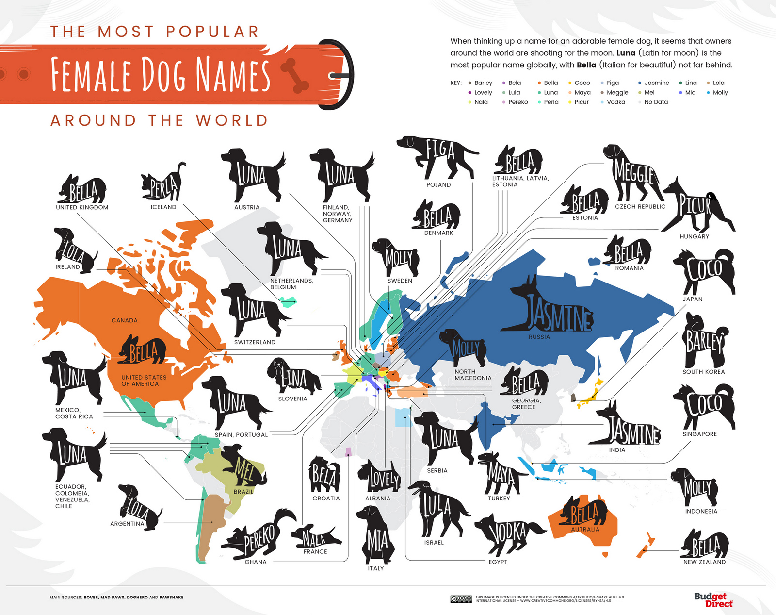 The Most Popular Dog Names Around The World LaptrinhX News the-most-popular-dog-names-around-the-world-laptrinhx-news
