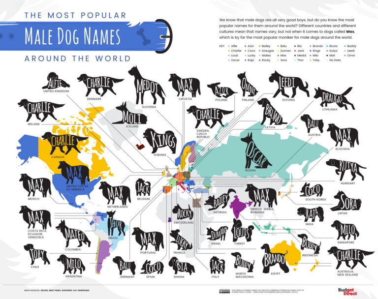 The most popular dog names around the world - Vivid Maps