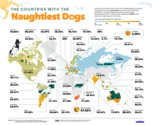 Dogs of the World - Vivid Maps