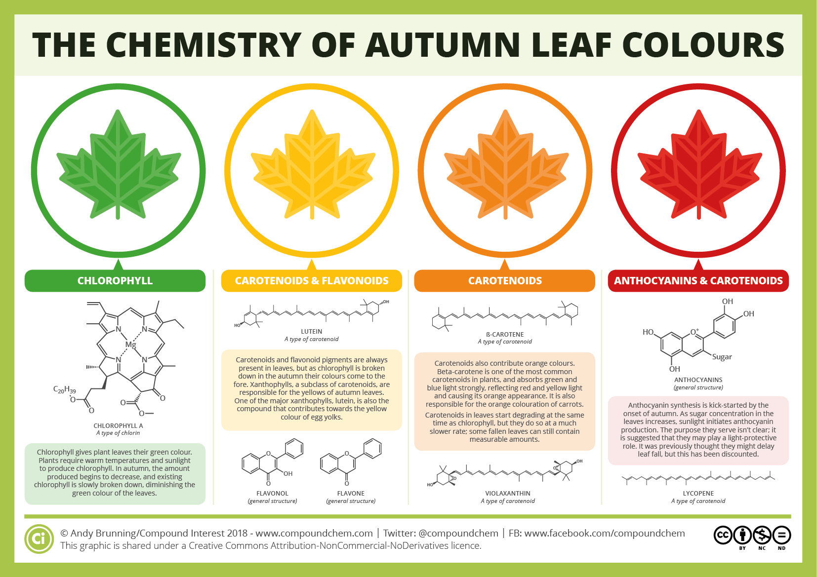 Autumn Foliage Colors Mapped Vivid Maps