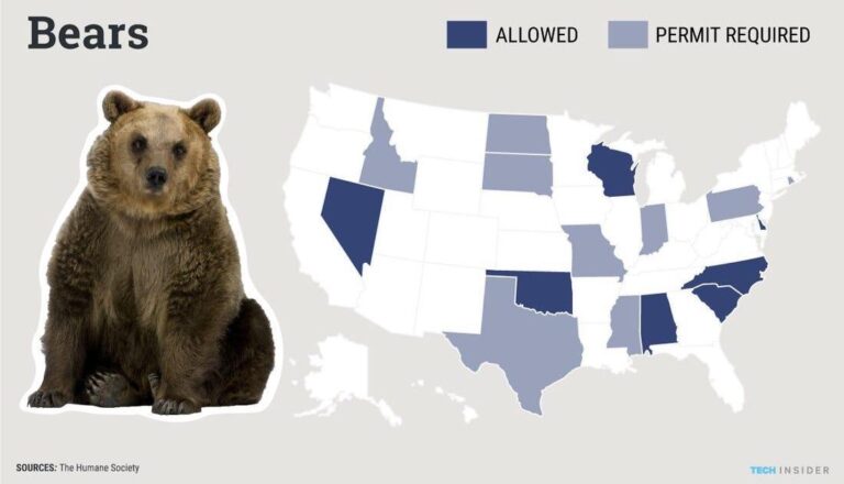 Exotic Animal Laws by U.S. State Mapped - Vivid Maps