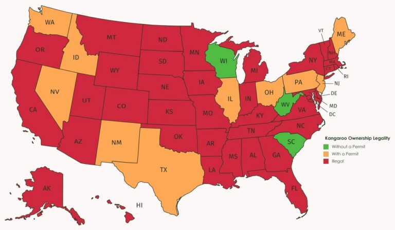 Exotic Animal Laws by U.S. State Mapped - Vivid Maps