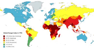 FAO Hunger Map (2015) - Vivid Maps