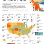 Dogs of the World - Vivid Maps