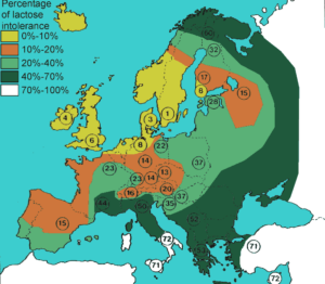 Lactose intolerance by percent of the population - Vivid Maps