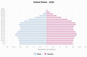 The Age Structure of the United States - Vivid Maps