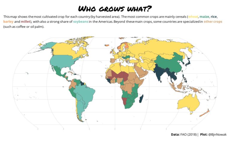 World Map of the Most Cultivated Crop in each Country - Vivid Maps