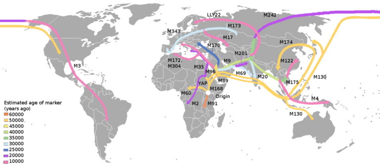 World map of Y-DNA Haplogroups - Vivid Maps