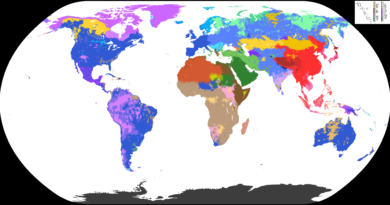 World map of Y-DNA Haplogroups - Vivid Maps