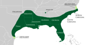 Alligator Range Map in the United States - Vivid Maps
