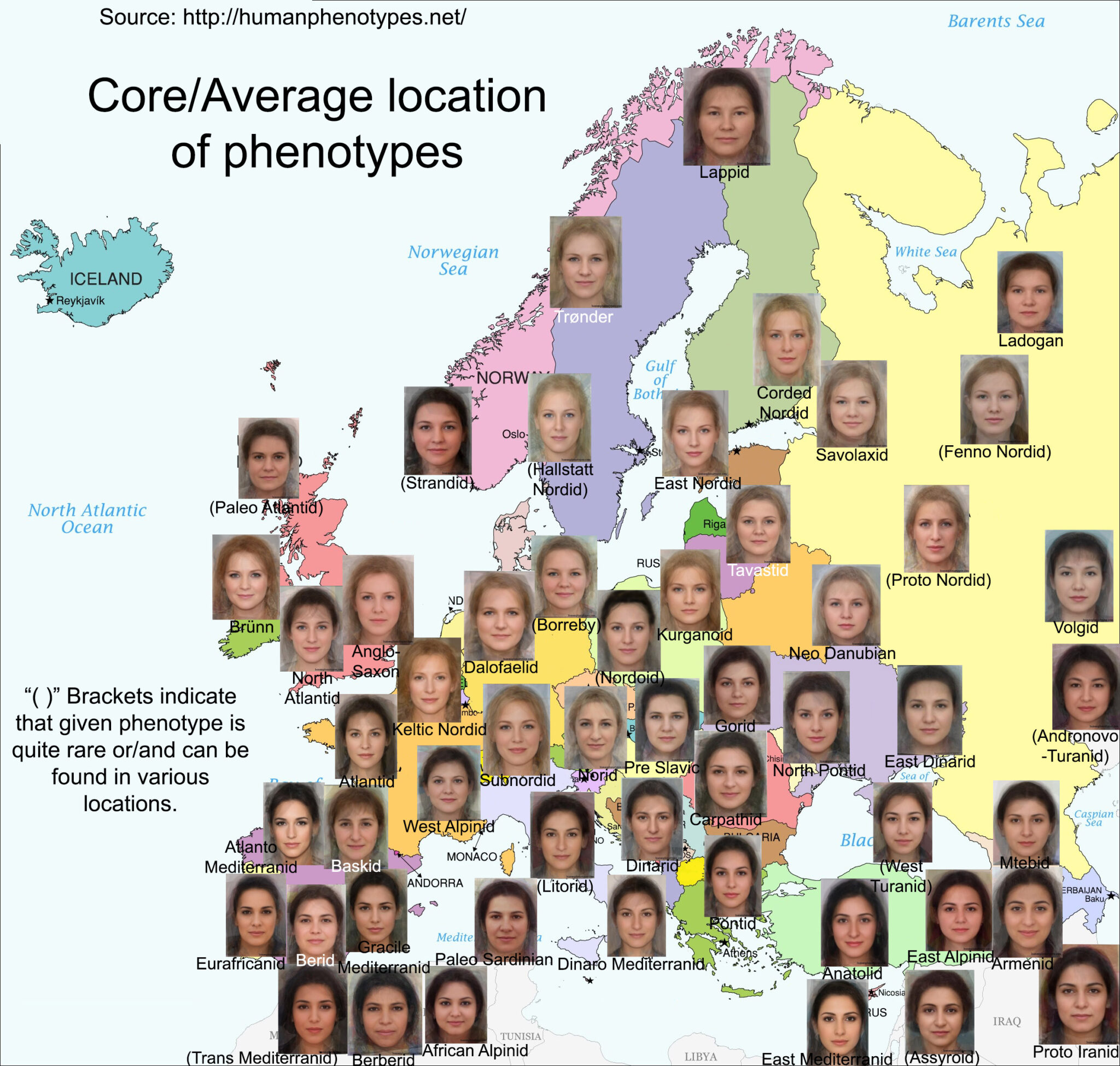 Human Phenotypes Mapped - Vivid Maps