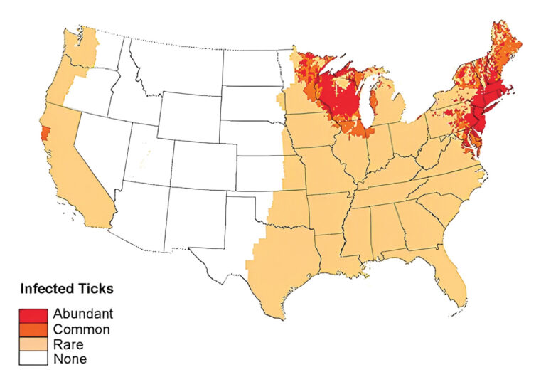Geographic distribution of ticks and disease cases in the U.S. - Vivid Maps