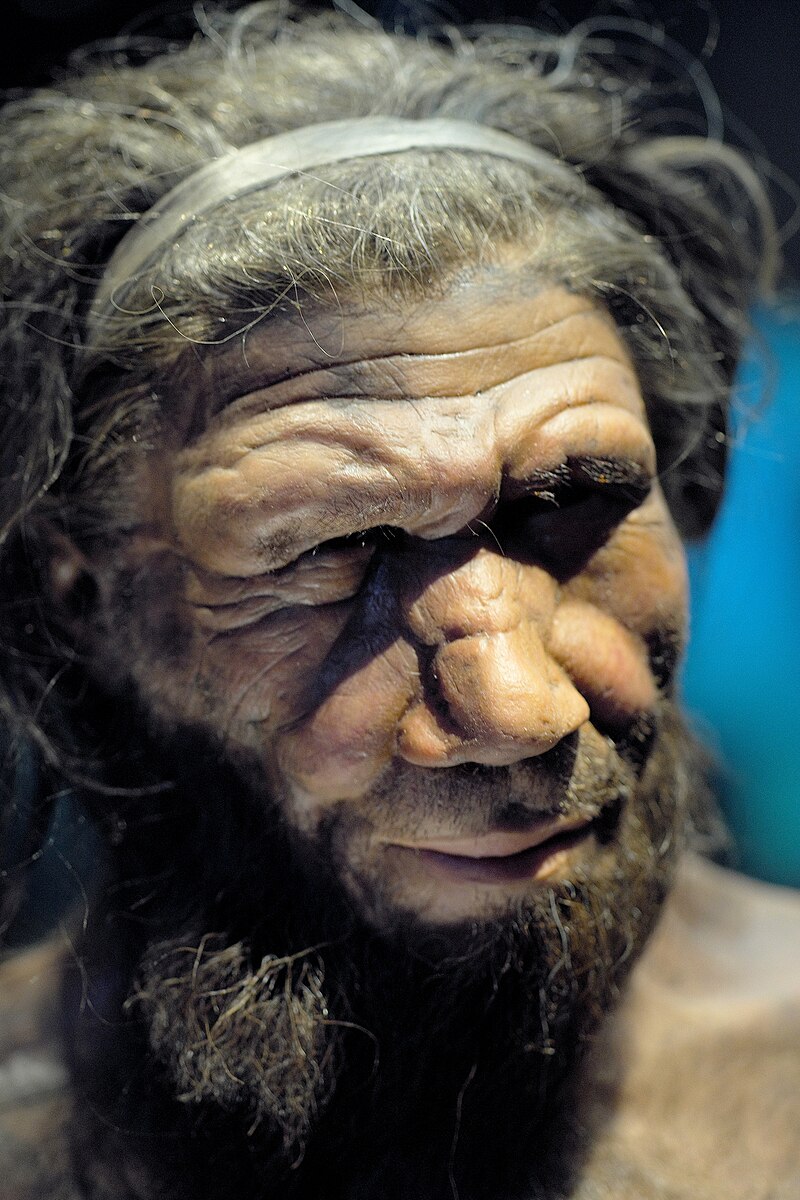 Neanderthal Geography: Tracing Our Ancient Cousins - Vivid Maps