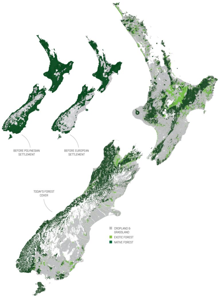 New Zealand’s Disappearing Forests—Mapped Through Time - Vivid Maps