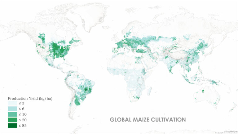 Wheat, Maize, and Rice: Mapping the Crops That Feed the World - Vivid Maps