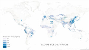 Wheat, Maize, and Rice: Mapping the Crops That Feed the World - Vivid Maps